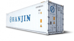 CONTAINER TYPES & SIZES | TURNON GLOBAL